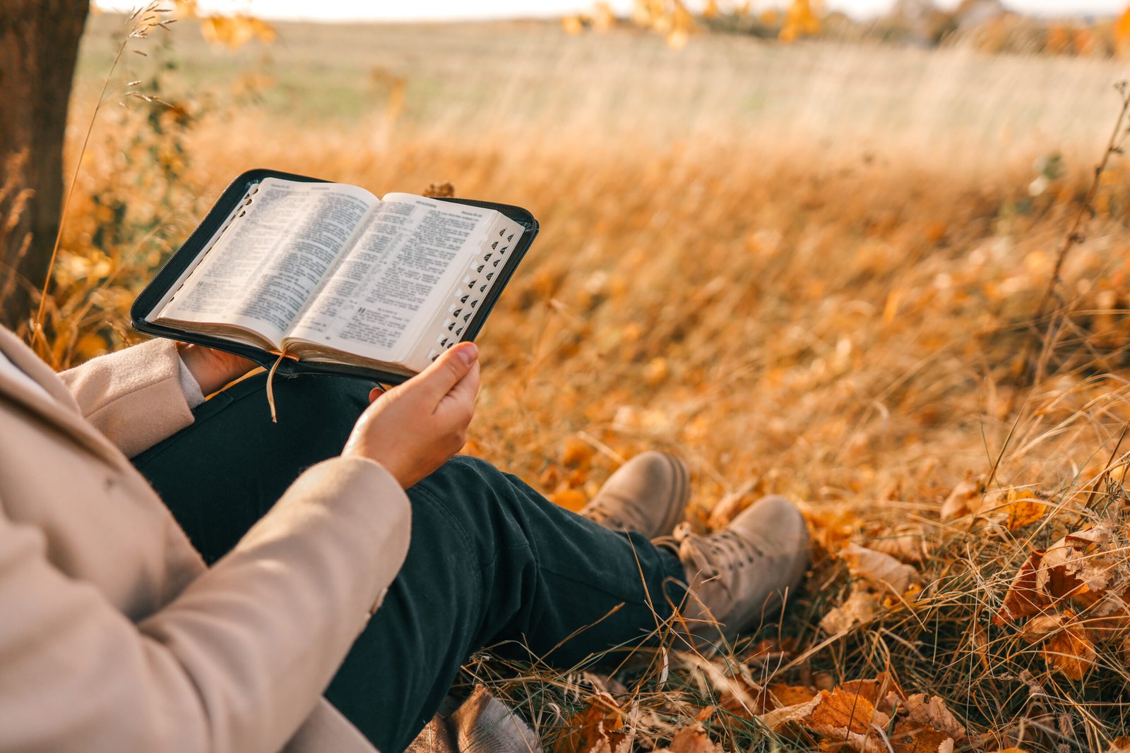 We've Been Redeemed from Our Enemy - Author Becky Dvorak